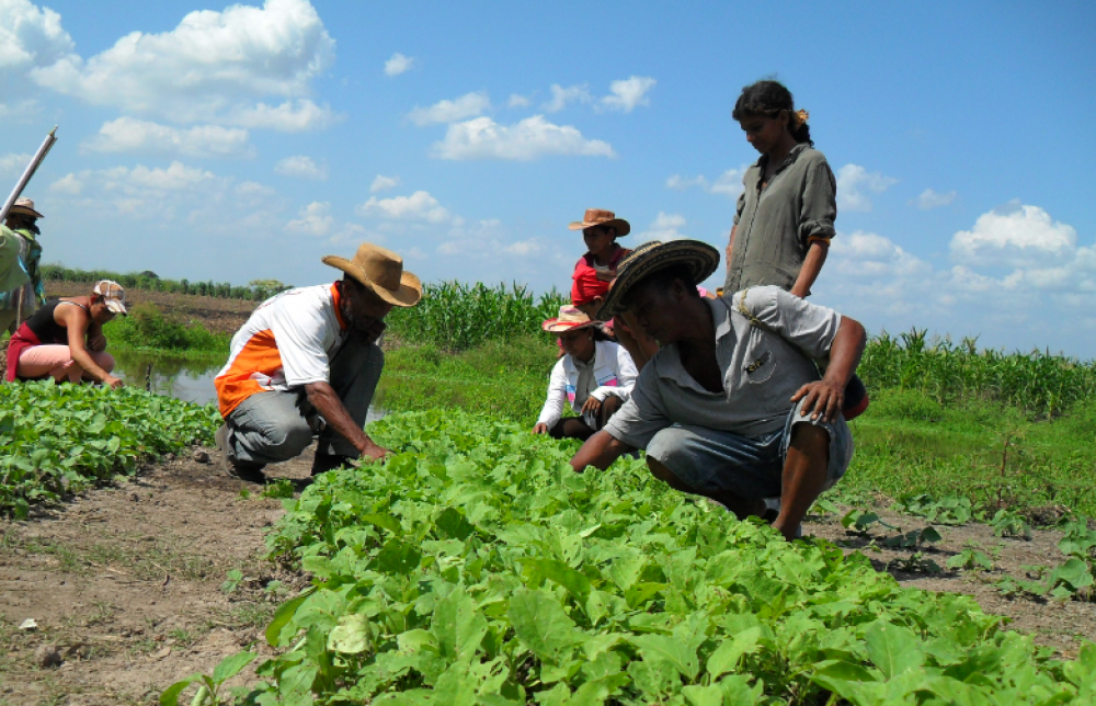 Corregimiento de Guáimaro, Salamina, Magdalena